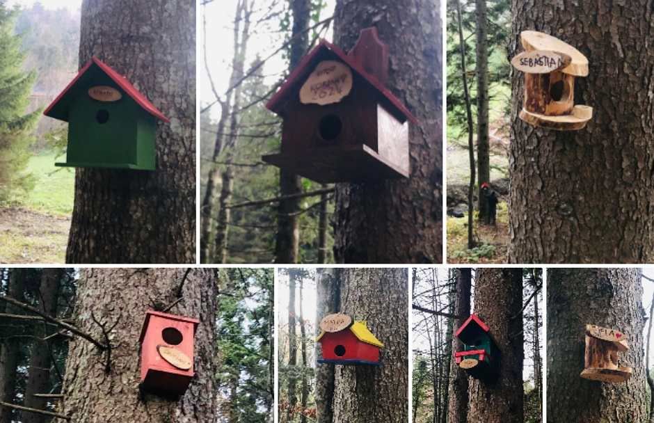 VRIJEDNI DND-OVCI: Da bezbrižno dočekaju prve pahulje snijega, za ptice ...