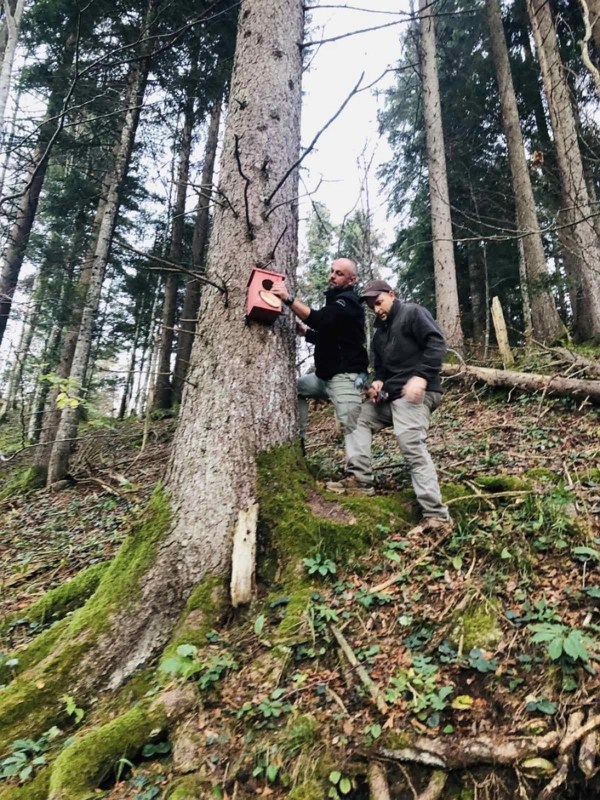 VRIJEDNI DND-OVCI: Da bezbrižno dočekaju prve pahulje snijega, za ptice ...